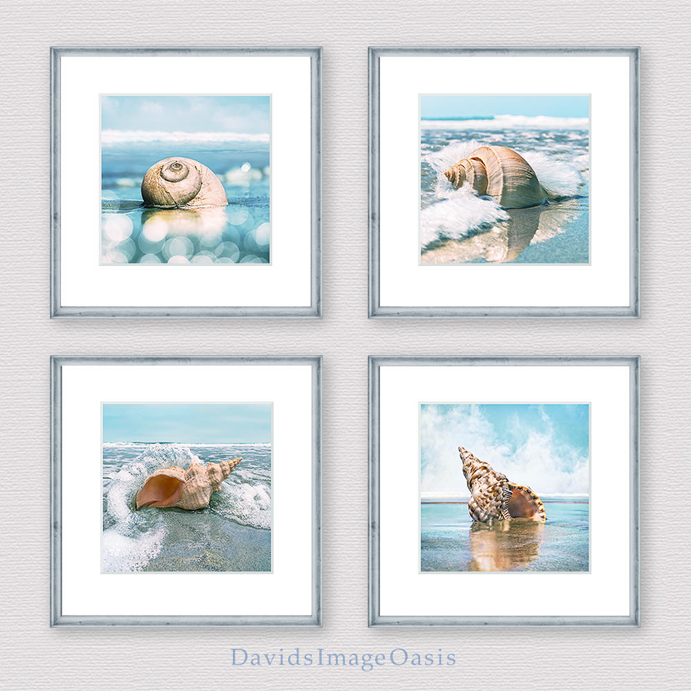 Seashell Print Set, Seashell Photo, Seashell Photography, Seashell ...