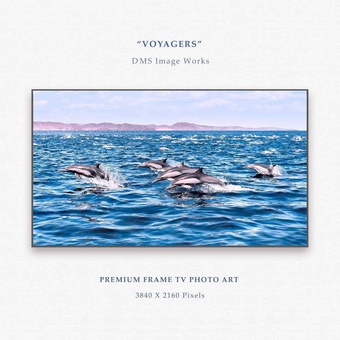 Dolphin Frame TV Photograph, Blue Ocean Animal Art, Jumping Dolphins ...