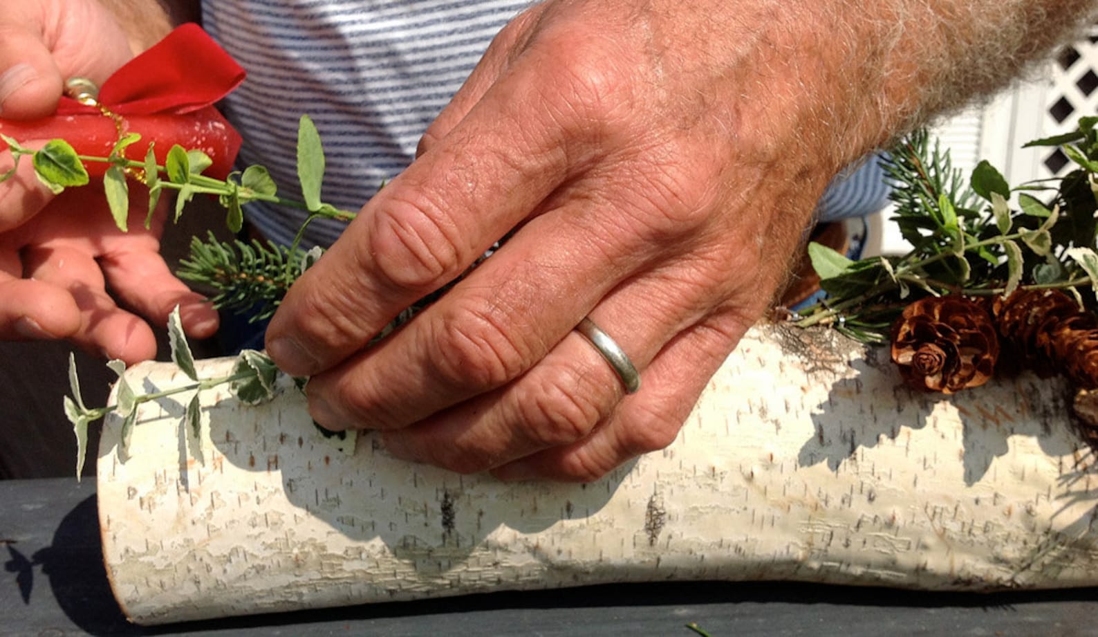 White Birch Yule Log Ready to Decorate- Free Domestic Shipping - Etsy