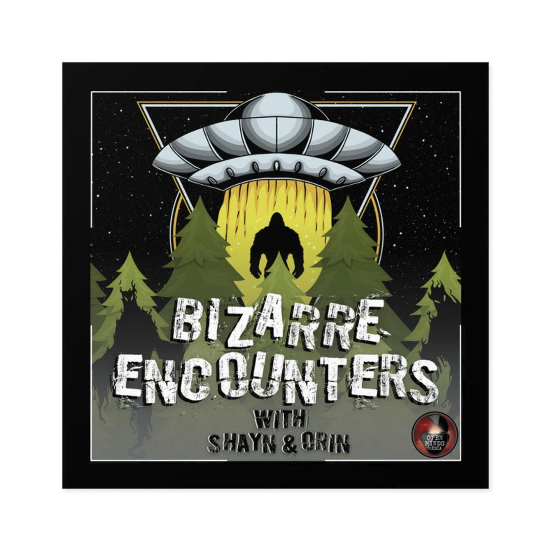 Bizarre Encounters Logo Vinyl Stickers - Etsy