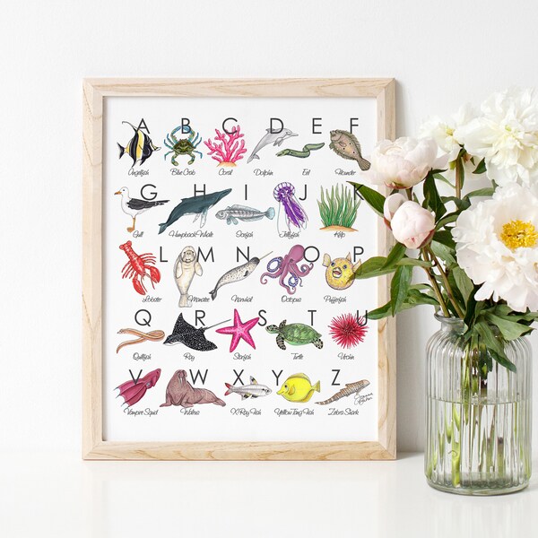Sea Creature Alphabet - Etsy