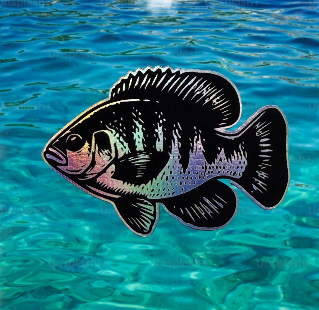 HOLOGRAPHIC to Black Leatherette Bluegill Patch With Thermal Backing 2. ...