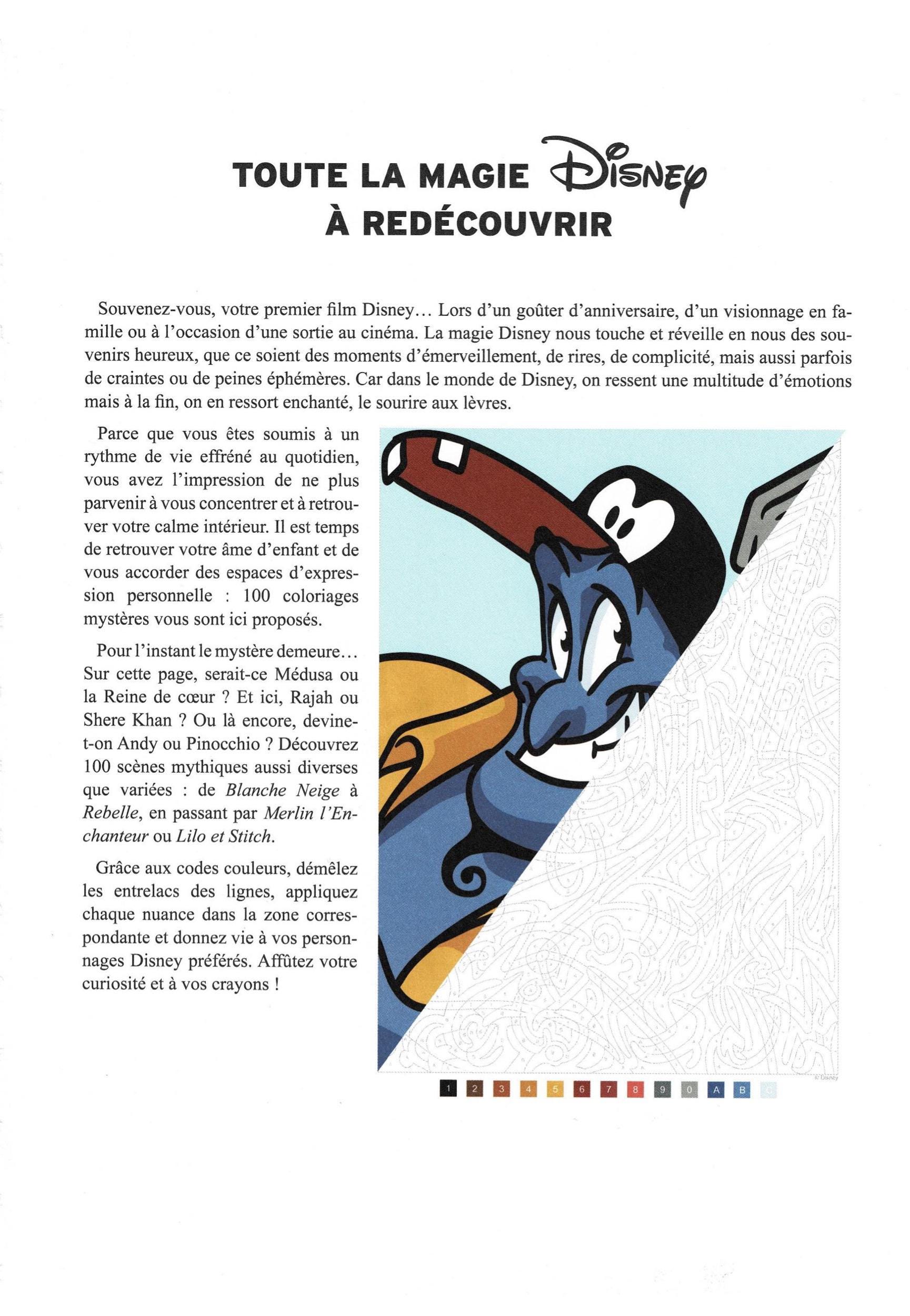 100++ [digital] Disney Mystery Colouring Book - Les Grands Classiques ...