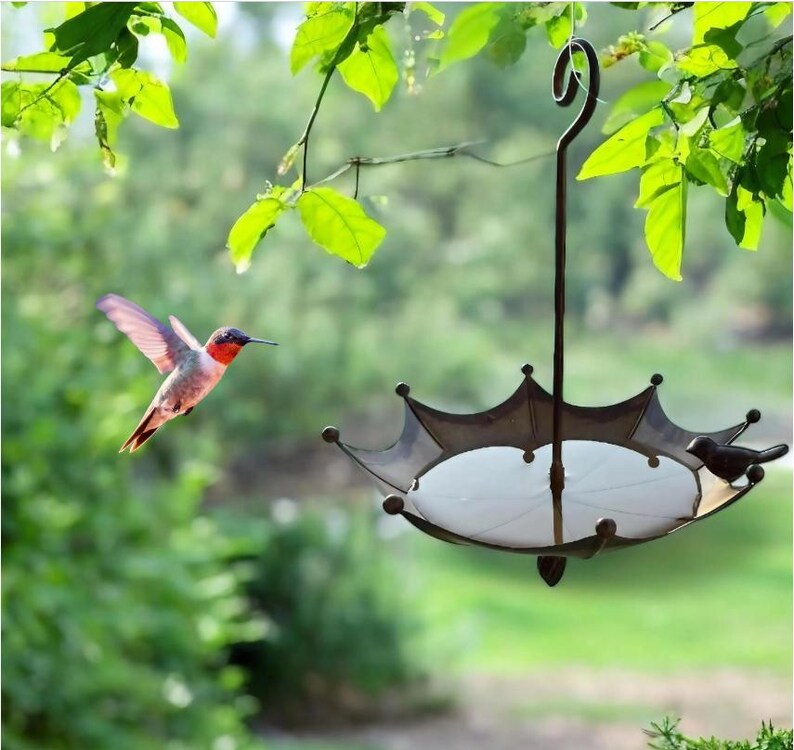 Umbrella Bird Feeder: Hanging Iron Garden Bath & Feeding Station - Etsy