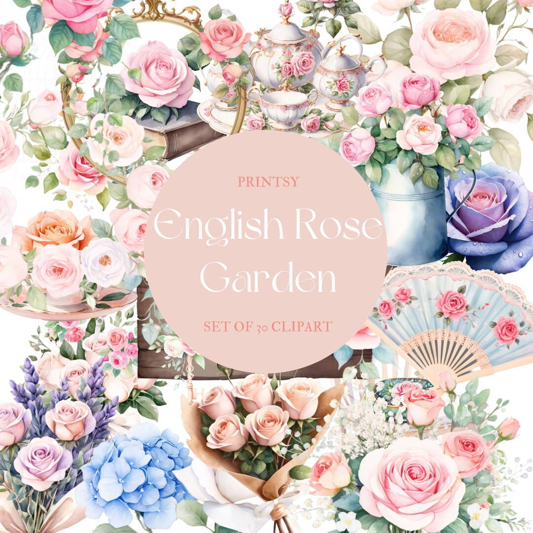 English Rose Garden Watercolor Clipart Set Clipart Bundle Floral ...