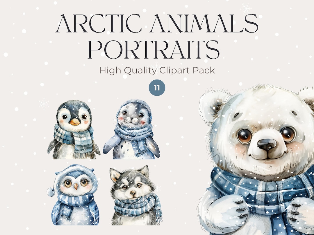 Arctic Animals Watercolor Clipart Pack, Digital Download, Transparent ...