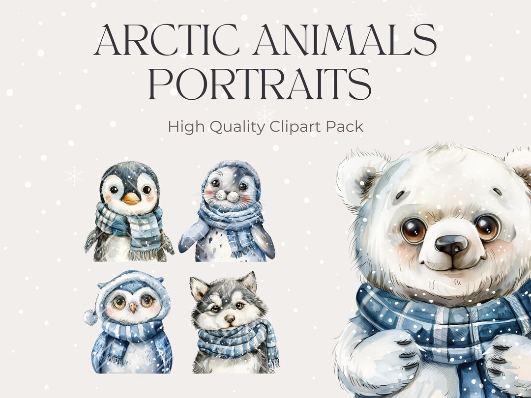 Arctic Animals Portraits Watercolor Clipart Pack, Digital Download ...