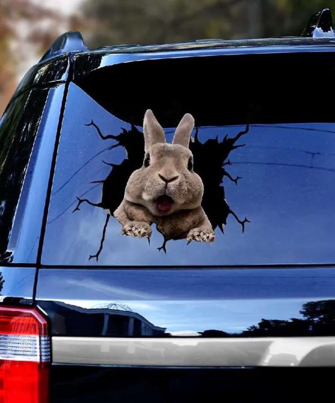 Rabbit Vinyl Decal for Car, Bunny Bumper Sticker, Rabbit Peeking Vinyl ...