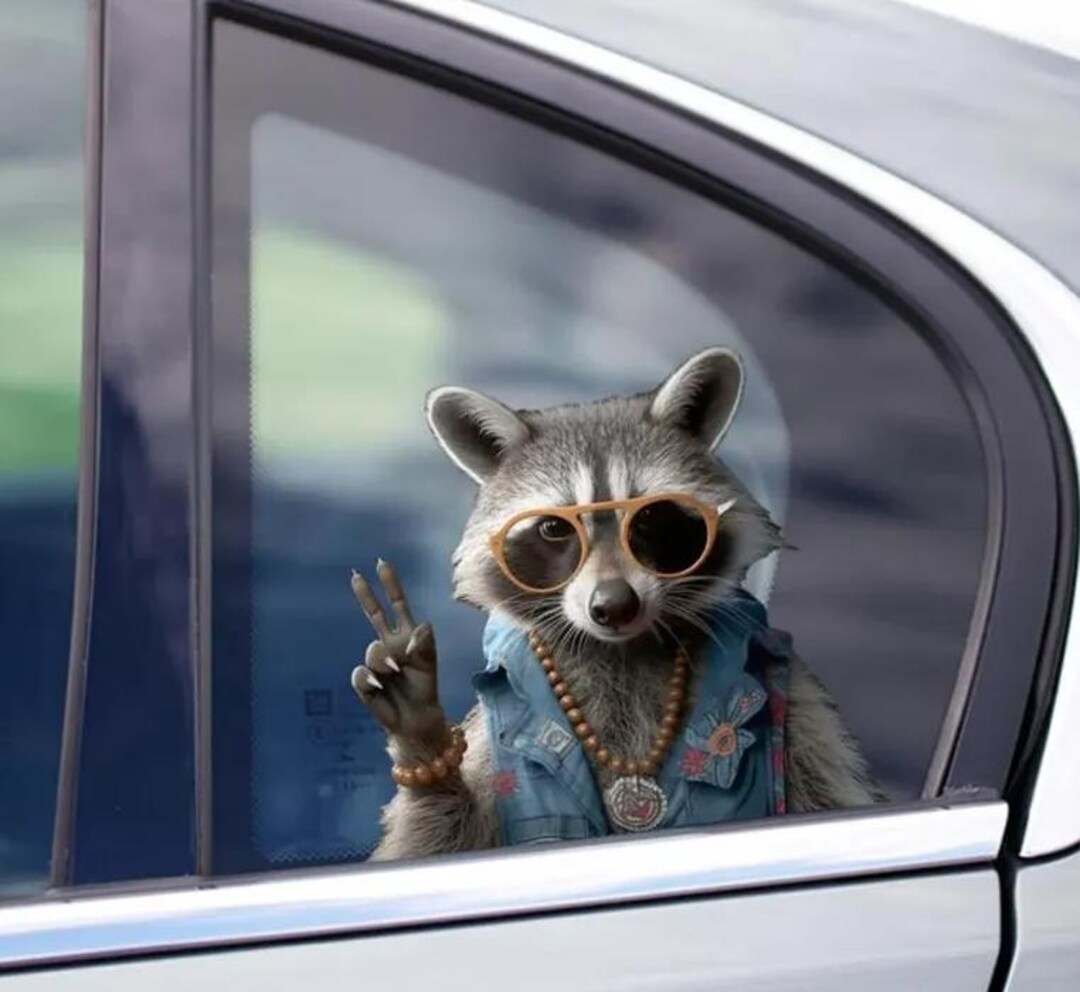Raccoon Bumper Sticker, Raccoon Vinyl Sticker Car Window Decal, Raccoon ...
