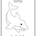 A to Z Animal Adventures: A Coloring Alphabet Book Digital File PDF ...