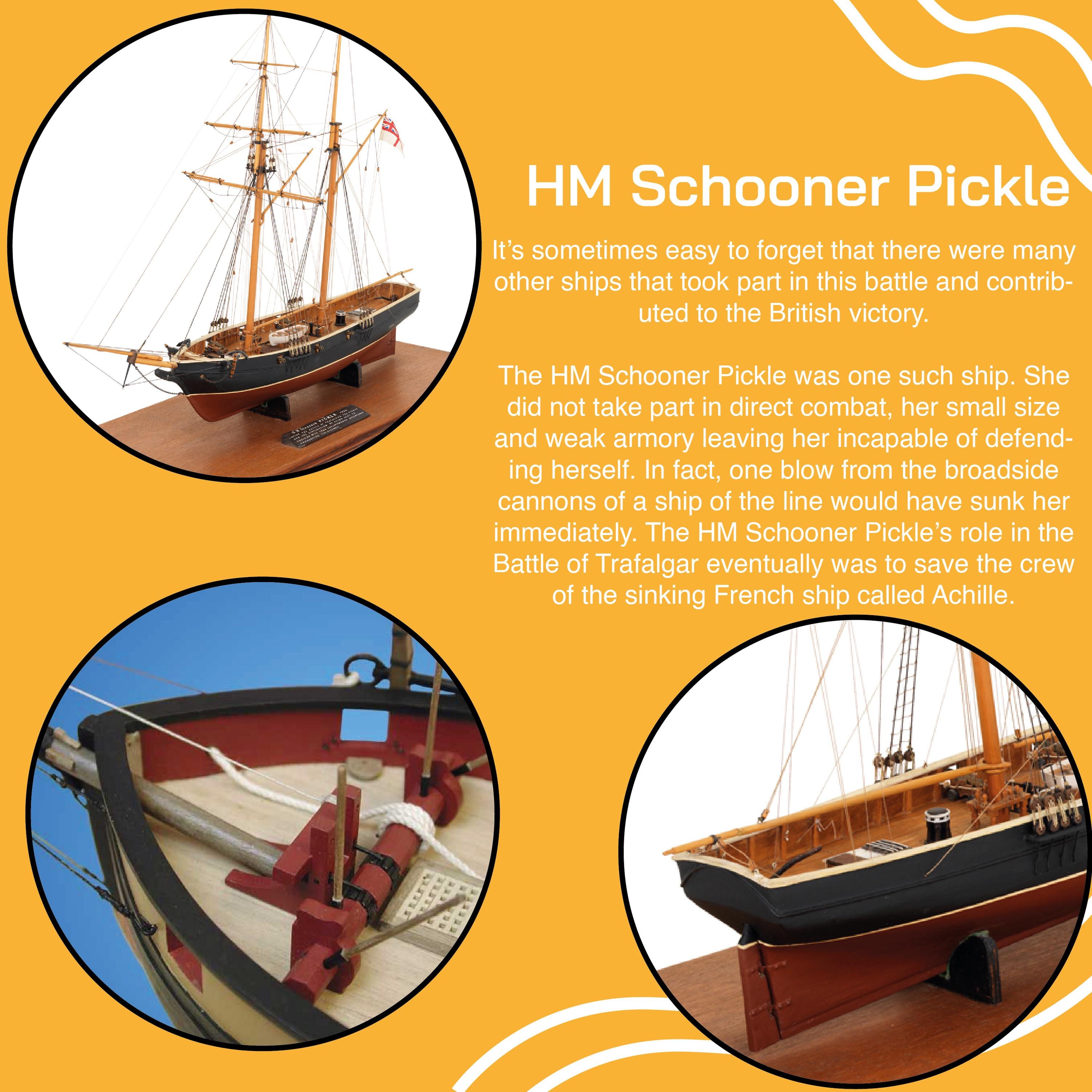 HM Schooner Pickle Wooden Ship Model Plans, 1:60 Scale (instant ...