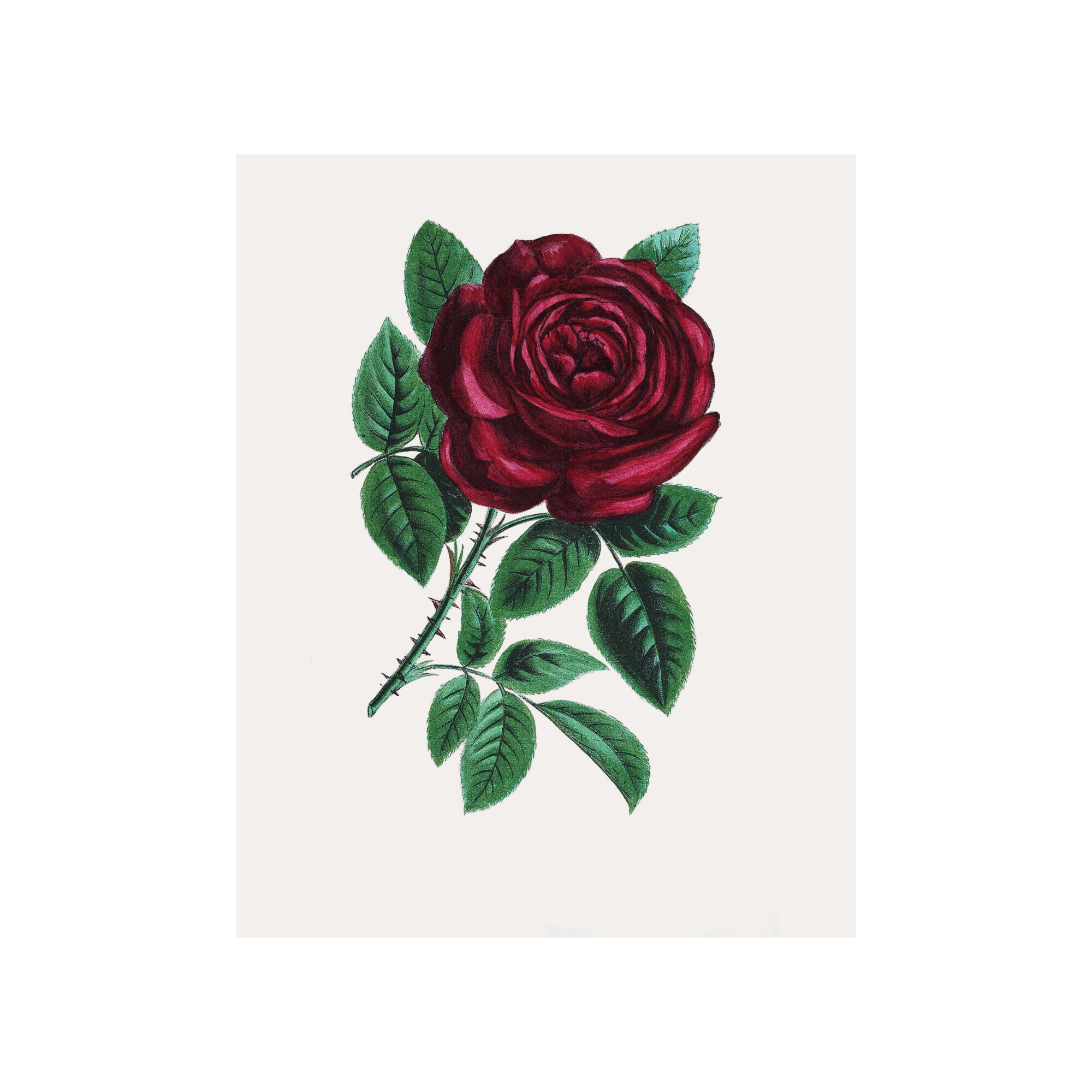 Printable Rose Flower Wall Art set of 3 - Etsy