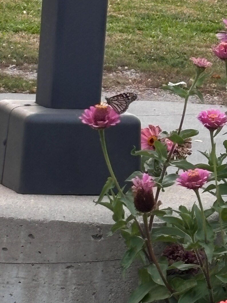 BASE FILL Custom Screaming Chibi Furry OC Art: Digital Commission ...