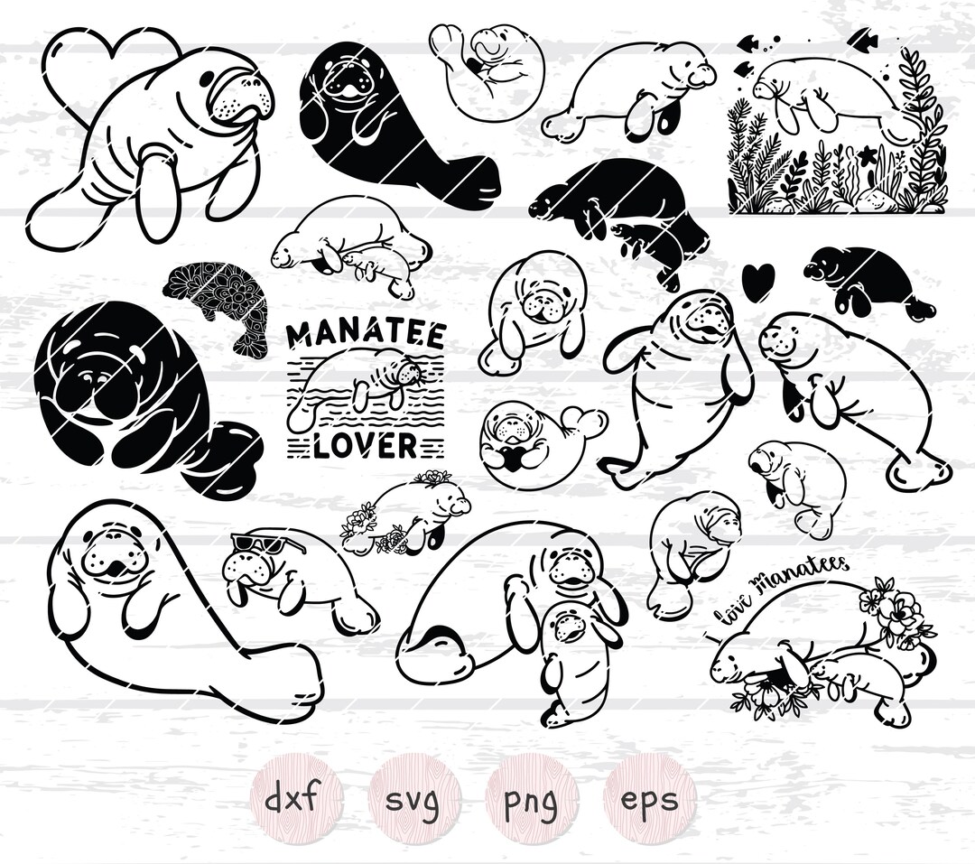Manatee Svg Bundle Family Manatee Svg Ocean Creatures Svg Manatee Cut ...