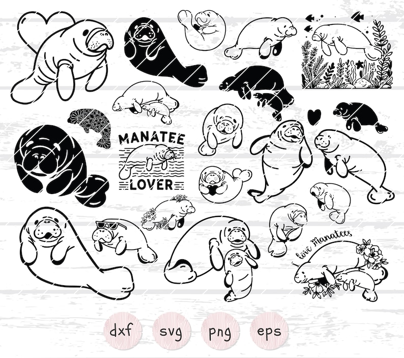 Manatee Svg Bundle Family Manatee Svg Ocean Creatures Svg Manatee Cut ...