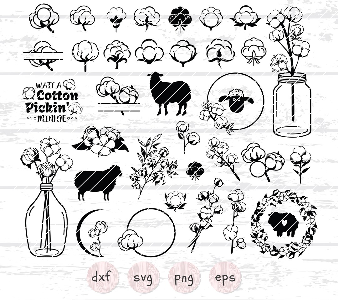 Cotton SVG Bundle, Farmhouse Cut Files , Rustic Digital Illustrations ...