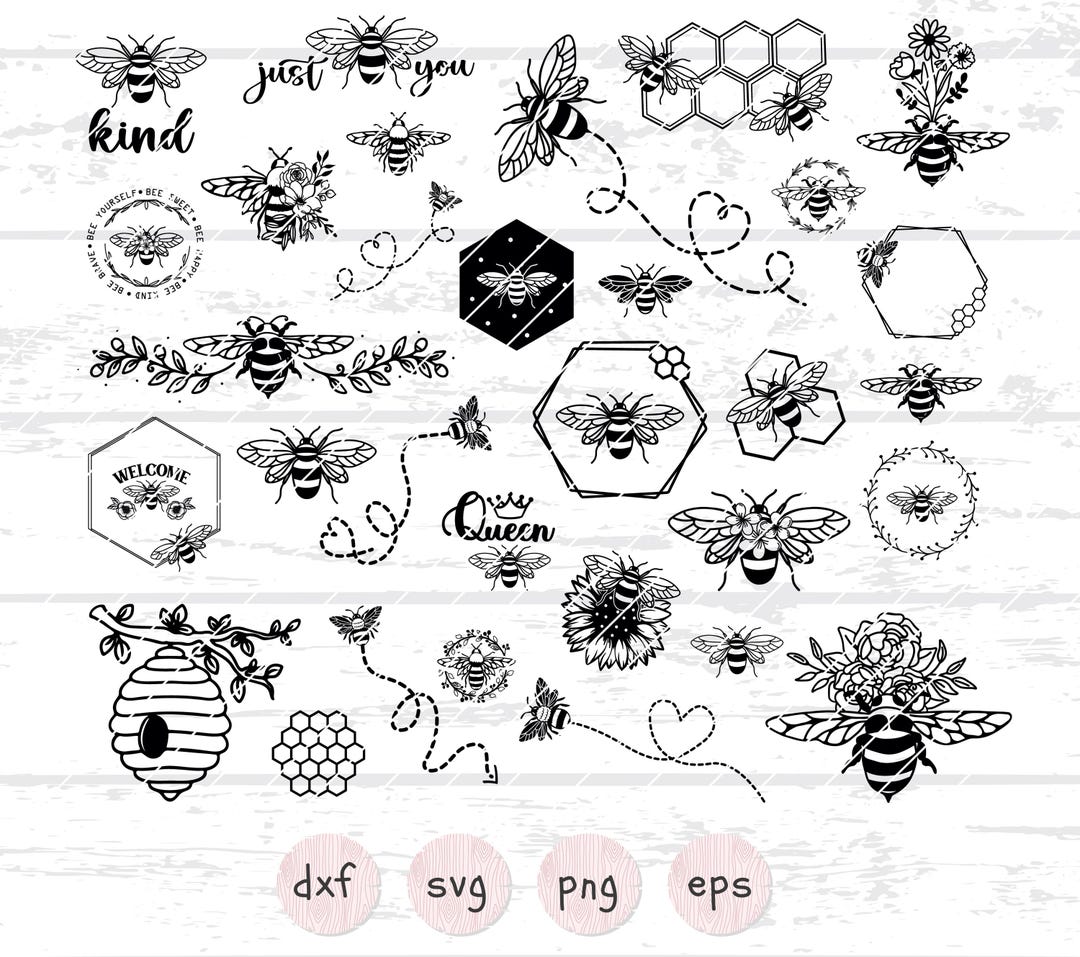 32 Floral Bee SVG Bundle | Kind Bee Clipart | Honeycomb & Flower PNG ...
