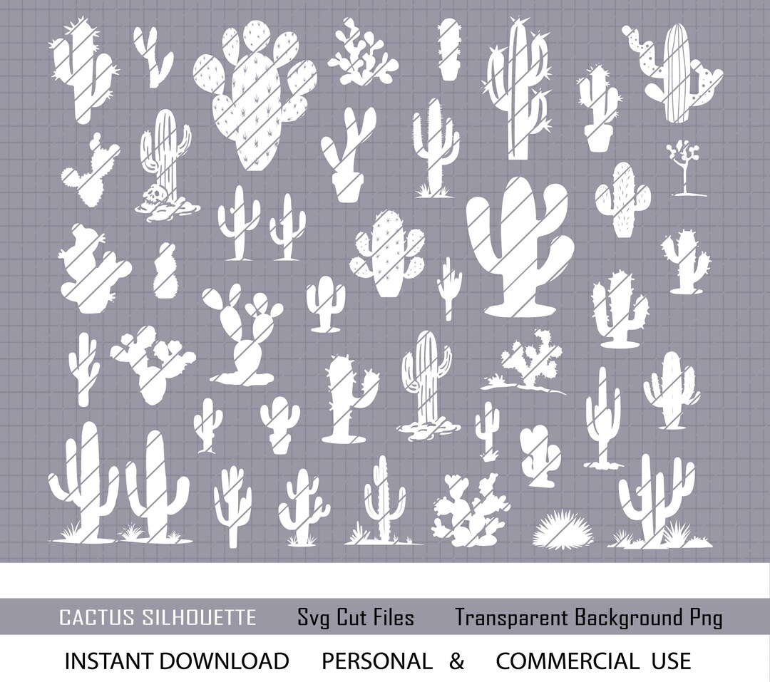 Cactus SVG Bundle | Desert Succulent Clipart | Boho Cactus PNG for ...