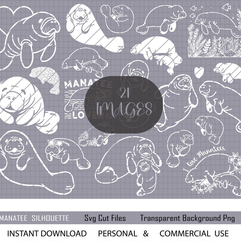 Manatee Svg - Etsy