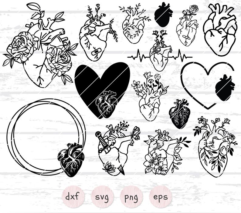 15 Human Heart Svg File, Anatomical Heart Svg, Heart Svg , Anatomy Svg ...