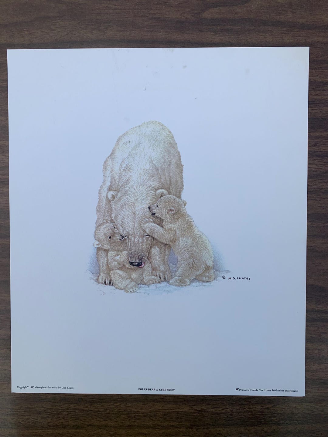 Vintage Print by M.G. Loates - “polar Bear and Cubs” Copyright 1985 ...