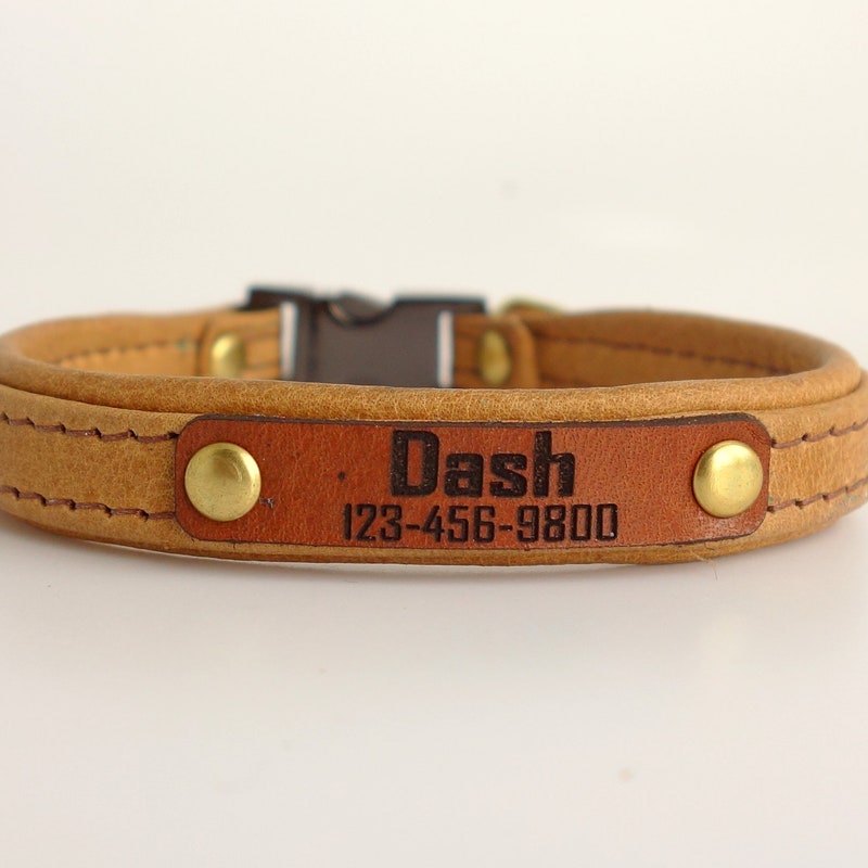 Small Dog Collar - Etsy
