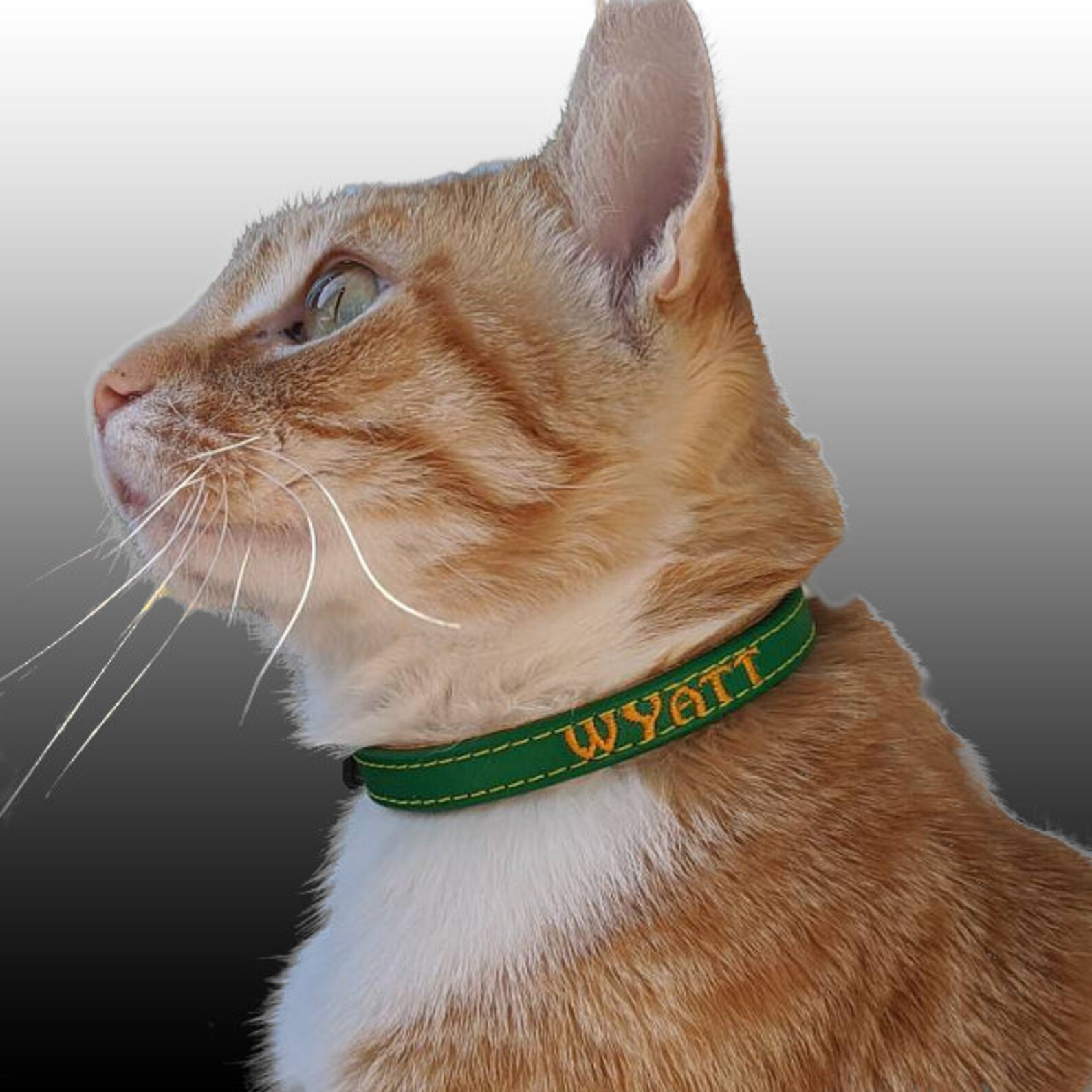 Leather Cat Collar Personalized Embroidery Top Grain With | Etsy