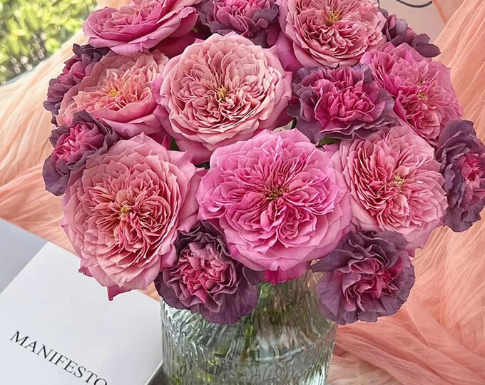Chinese Julie. Climbing Rose Hanxian 涵仙，cut Rose. Highly Recommended ...