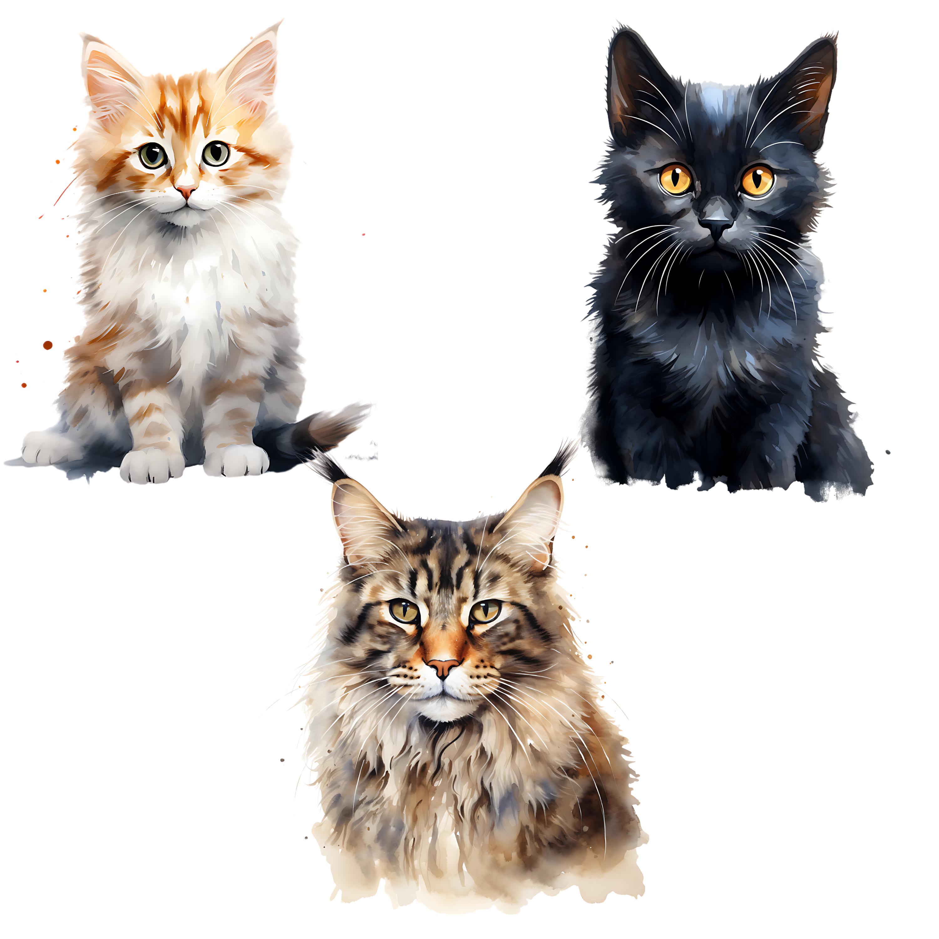 Cat Breeds Clipart Bundle, Cats Clipart, Pet Animals Clipart ...