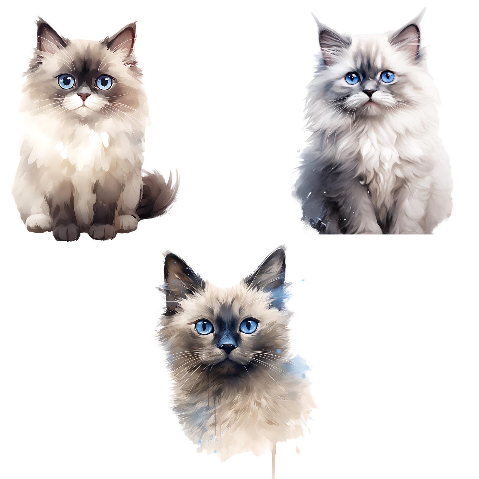Cat Breeds Clipart Bundle, Cats Clipart, Pet Animals Clipart ...
