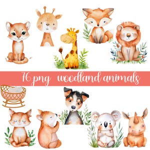 Woodland Animals Watercolor Clipart, Forest Animals Clip Art, Nursery ...