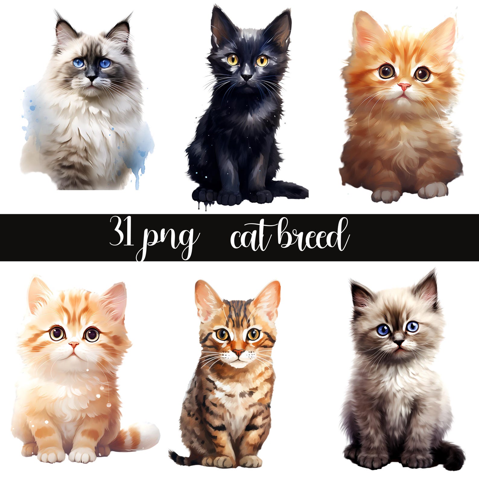 Cat Breeds Clipart Bundle, Cats Clipart, Pet Animals Clipart ...