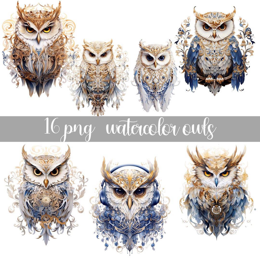 Watercolor Owls, Owl Clipart, Barn Owl Clipart, Digital Clipart ...