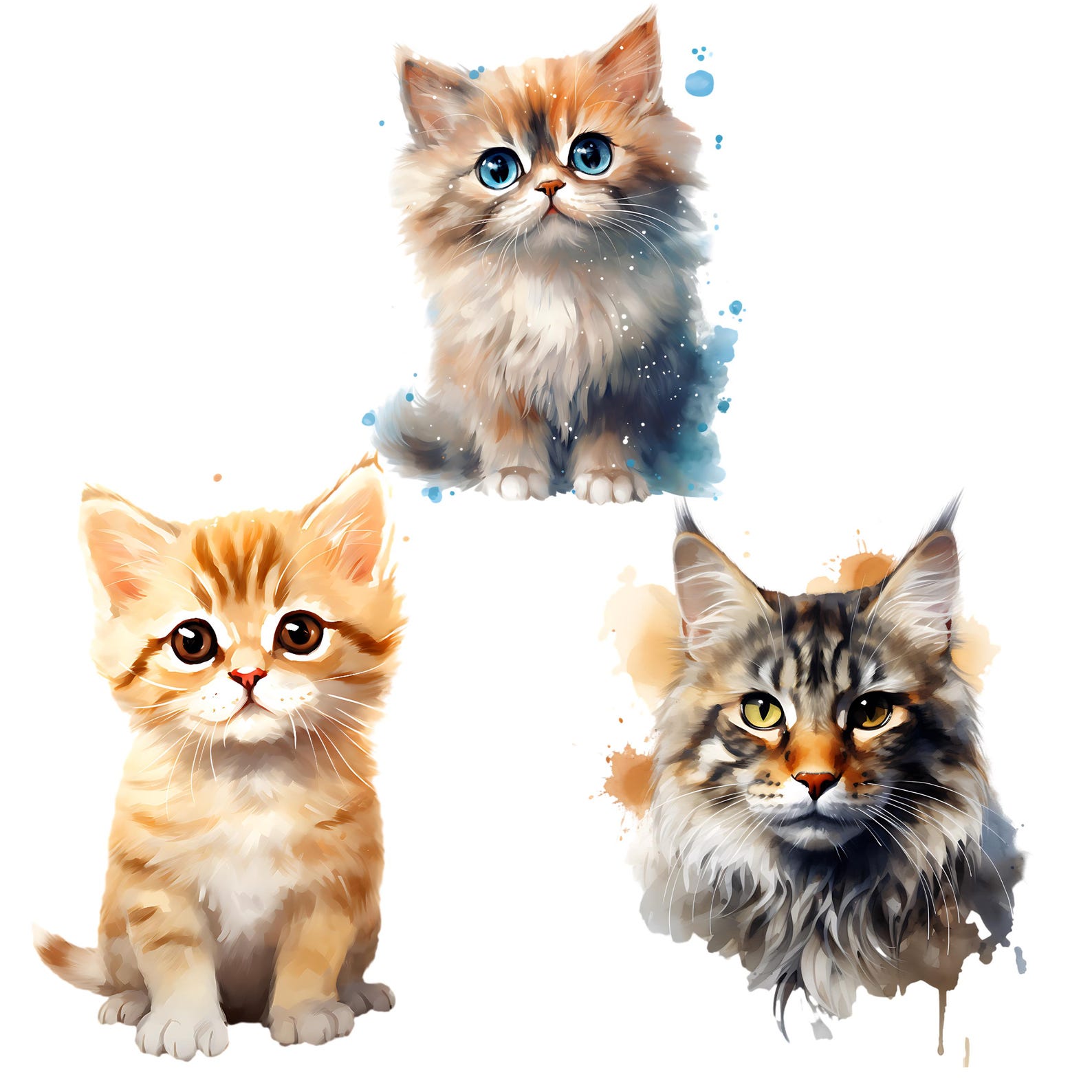 Cat Breeds Clipart Bundle, Cats Clipart, Pet Animals Clipart ...