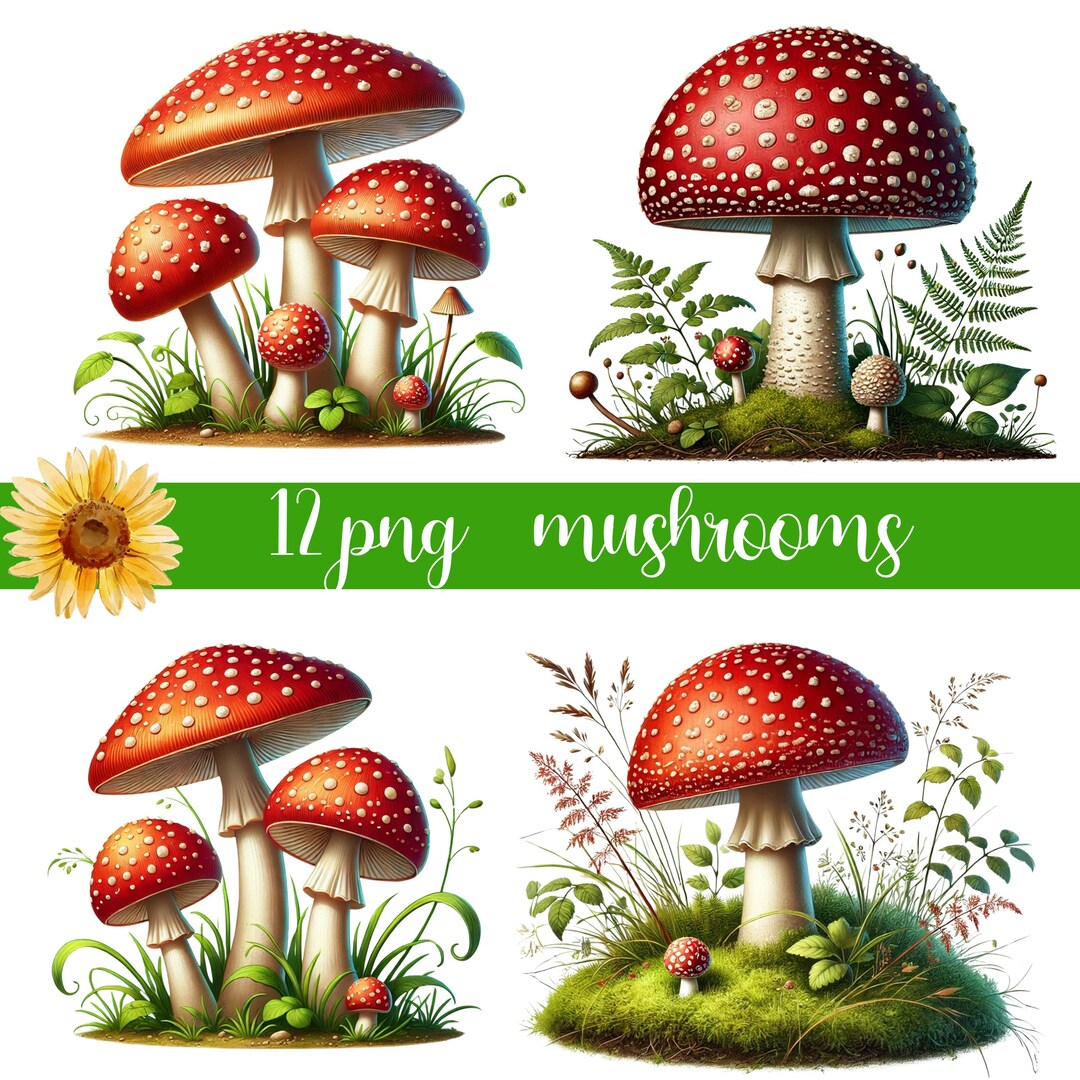 Watercolor Mushrooms Clipart Cute Forest Nature Toadstool Clip Art PNG ...