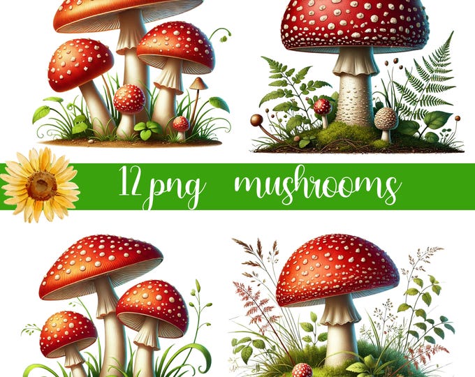 Watercolor Mushrooms Clipart Toadstool Clip Art PNG Instant Download ...