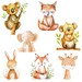 Woodland Animals Watercolor Clipart, Forest Animals Clip Art, Nursery ...