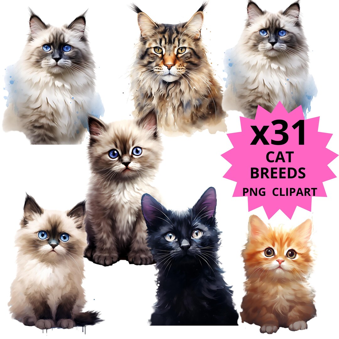 31 X Cat Breeds Clipart Bundle, Cats Clipart, Pet Animals Clipart ...