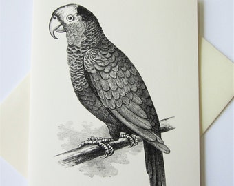 Parrot Note Cards | Etsy