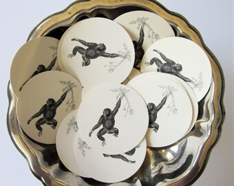 Chimp Chimpanzee | Etsy