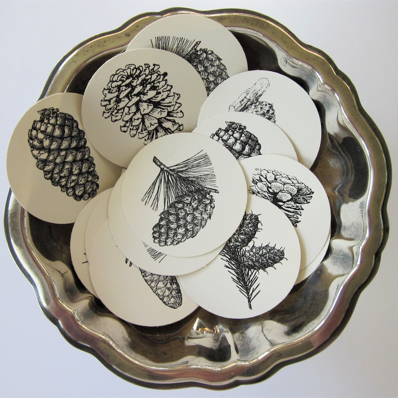 White Pine Paper Shop - Etsy