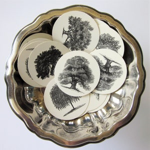 Tree Tags Round Gift Tags Set of 10 Five Tree Images - Etsy