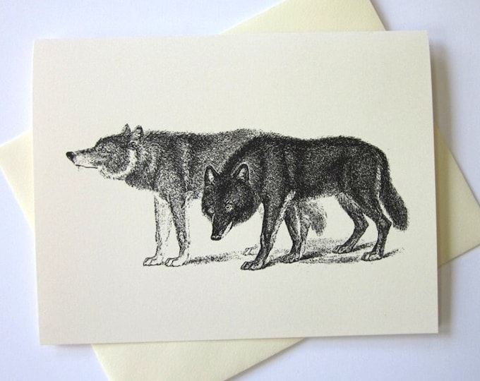 Porcupine Woodland Stationery Note Cards Set of 10 With - Etsy