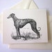 Whippet Greyhound Dog Note Cards Set of 10 With Matching - Etsy