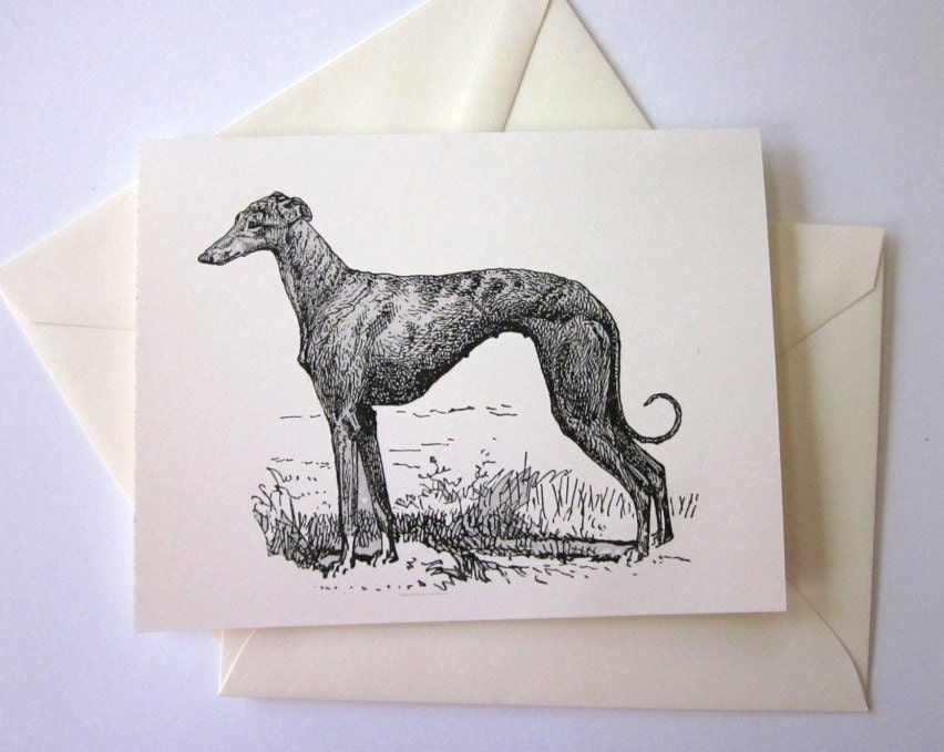 Whippet Greyhound Dog Note Cards Set of 10 With Matching - Etsy