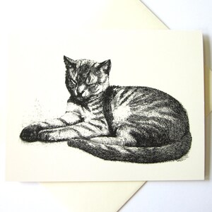 Cat Note Cards Stationery Set of 10 Cards With Matching Envelopes - Etsy