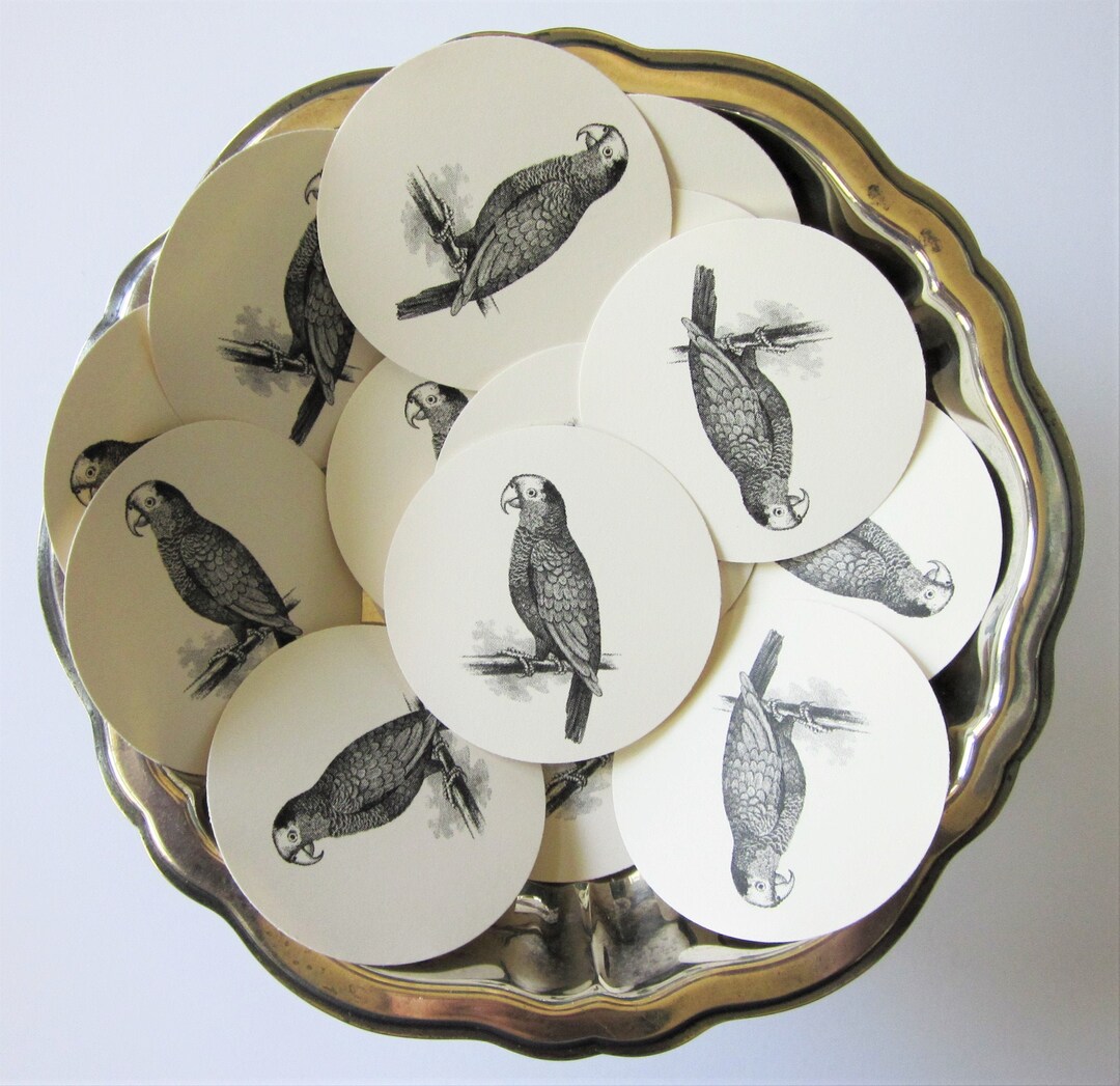 Parrot Tags Round Paper Gift Tags Set of 10 - Etsy
