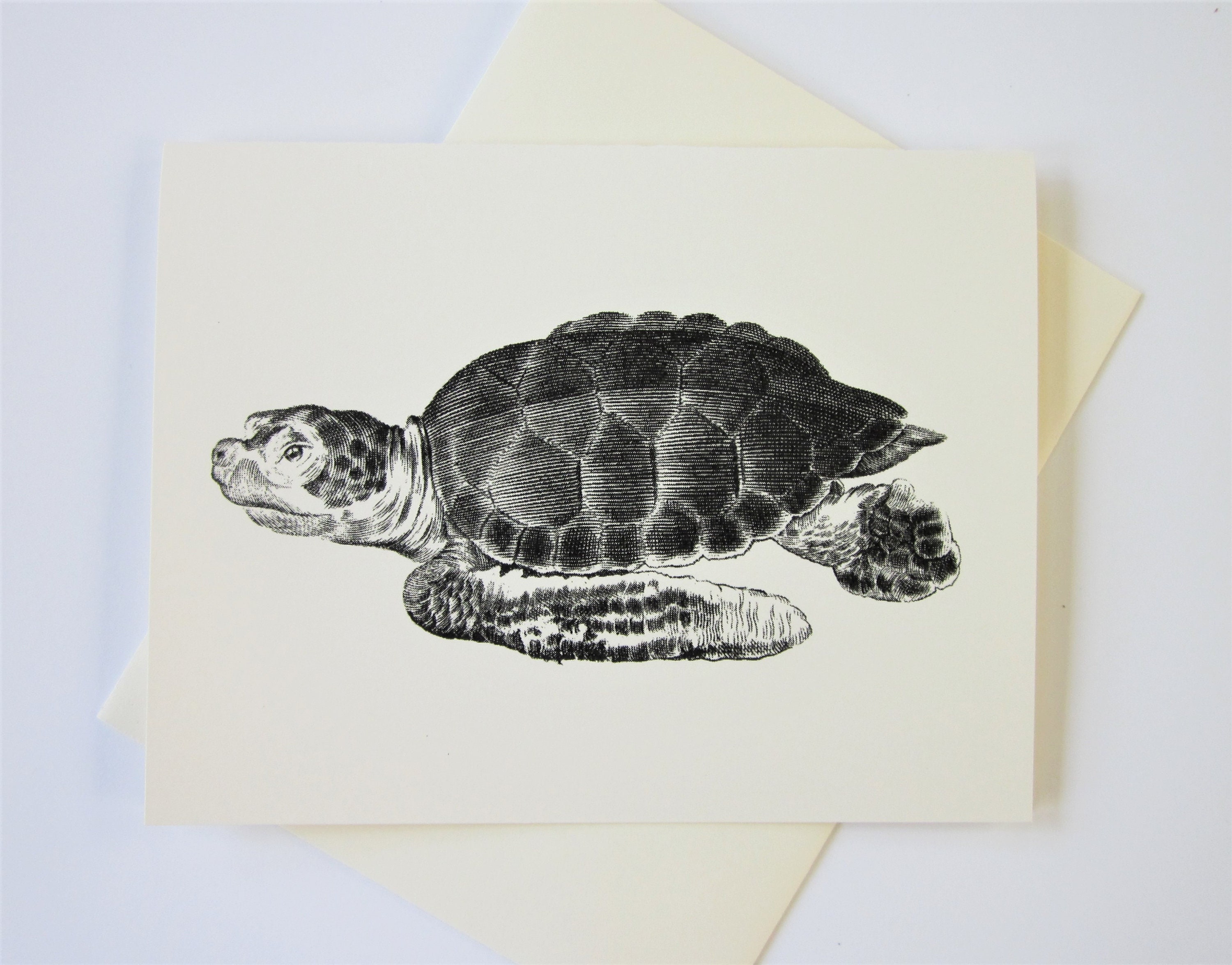 Sea Turtle Note Cards Stationery Set of 10 Cards in White or - Etsy