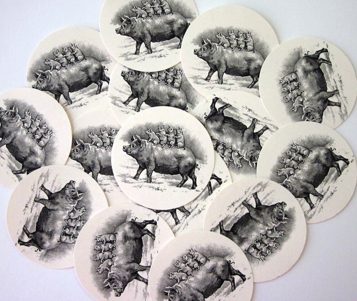 Pig and Piglets Tags Round Paper Gift Tags Set of 10 - Etsy
