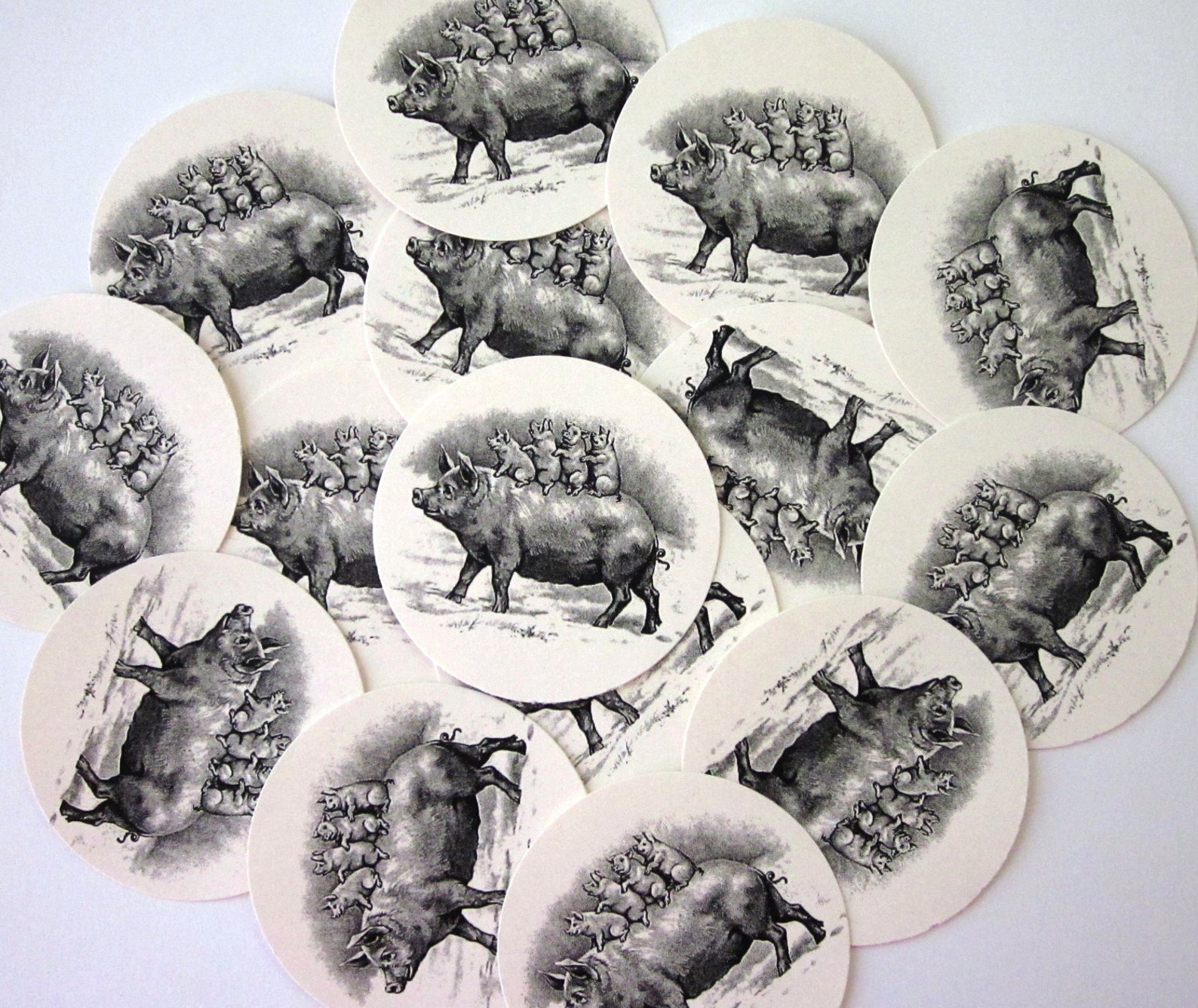 Pig and Piglets Tags Round Paper Gift Tags Set of 10 - Etsy